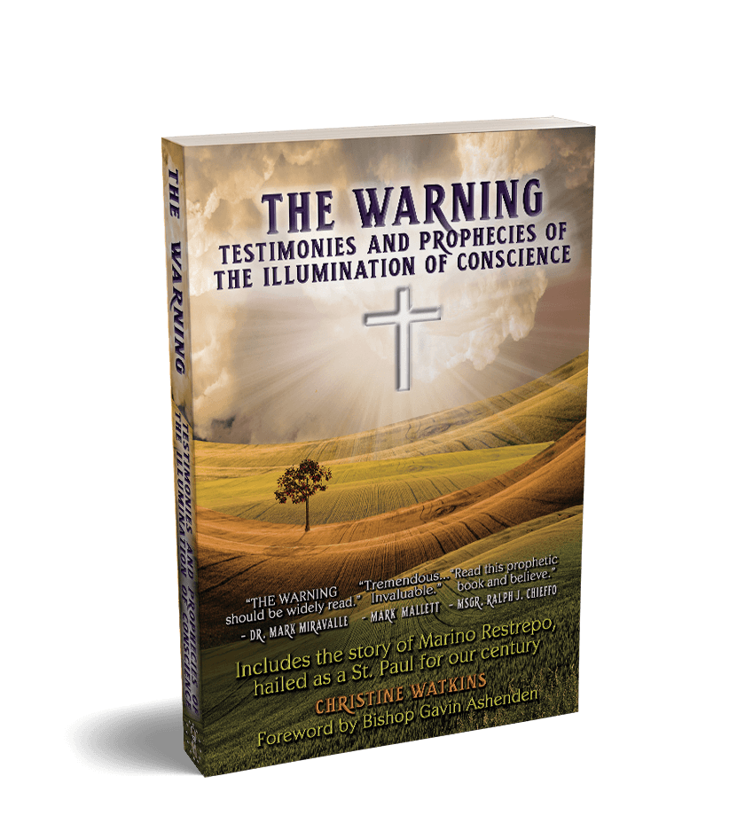 The Warning: Testimonies and Prophecies of the Illumination of ...